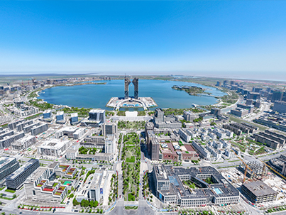 Lin-gang Special Area